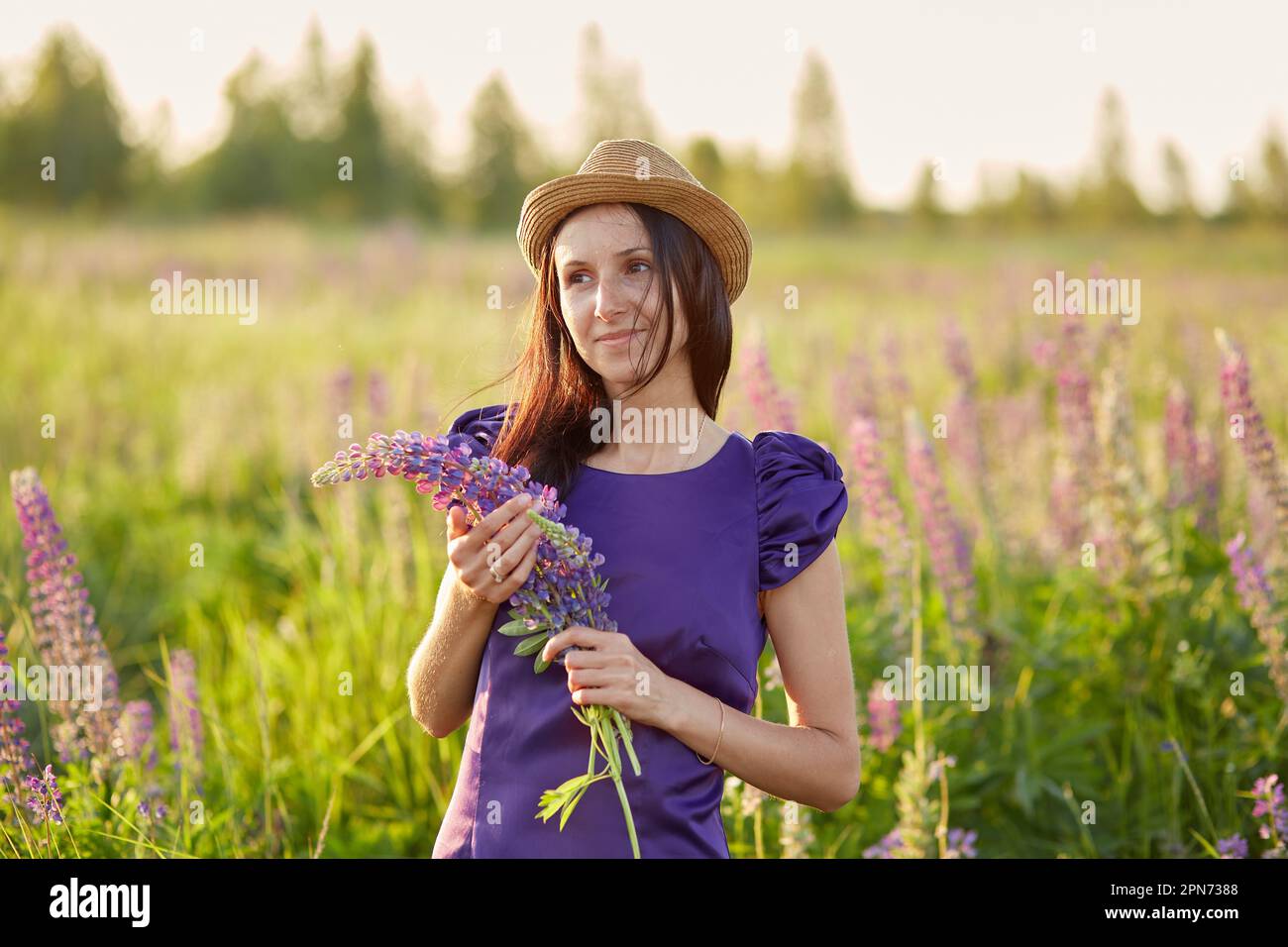Wellness, mindful woman in summer field with lupins. Connecting with ...