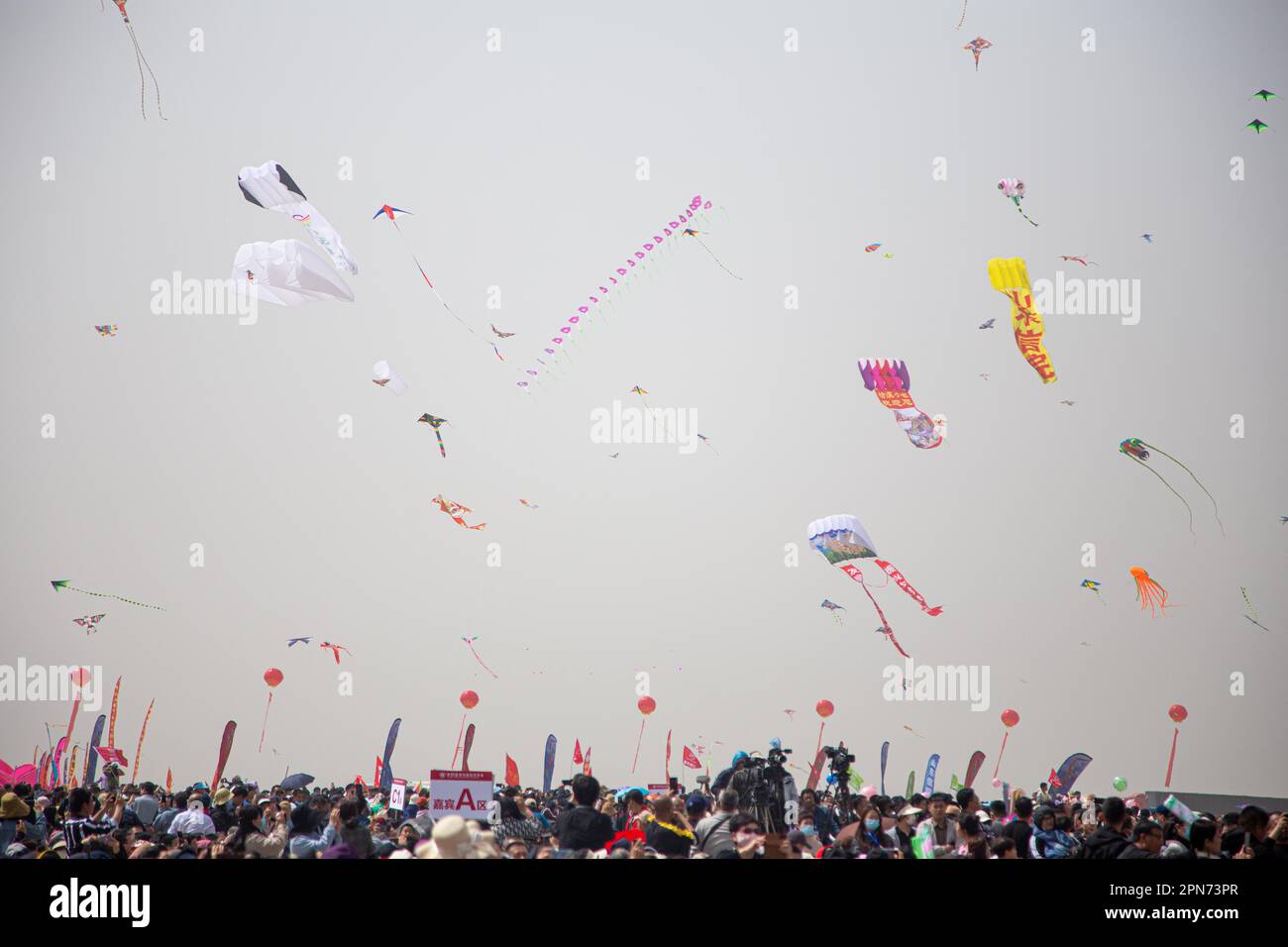 The 40th Weifang International Kite Festival kicks off in Weifang City ...