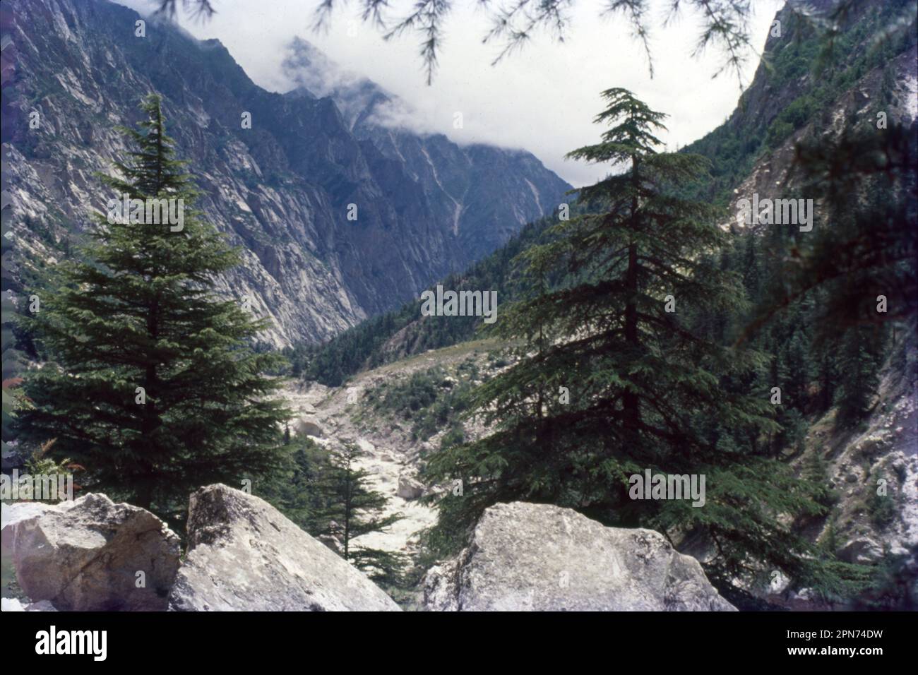 Gomukh glacier river hi-res stock photography and images - Alamy