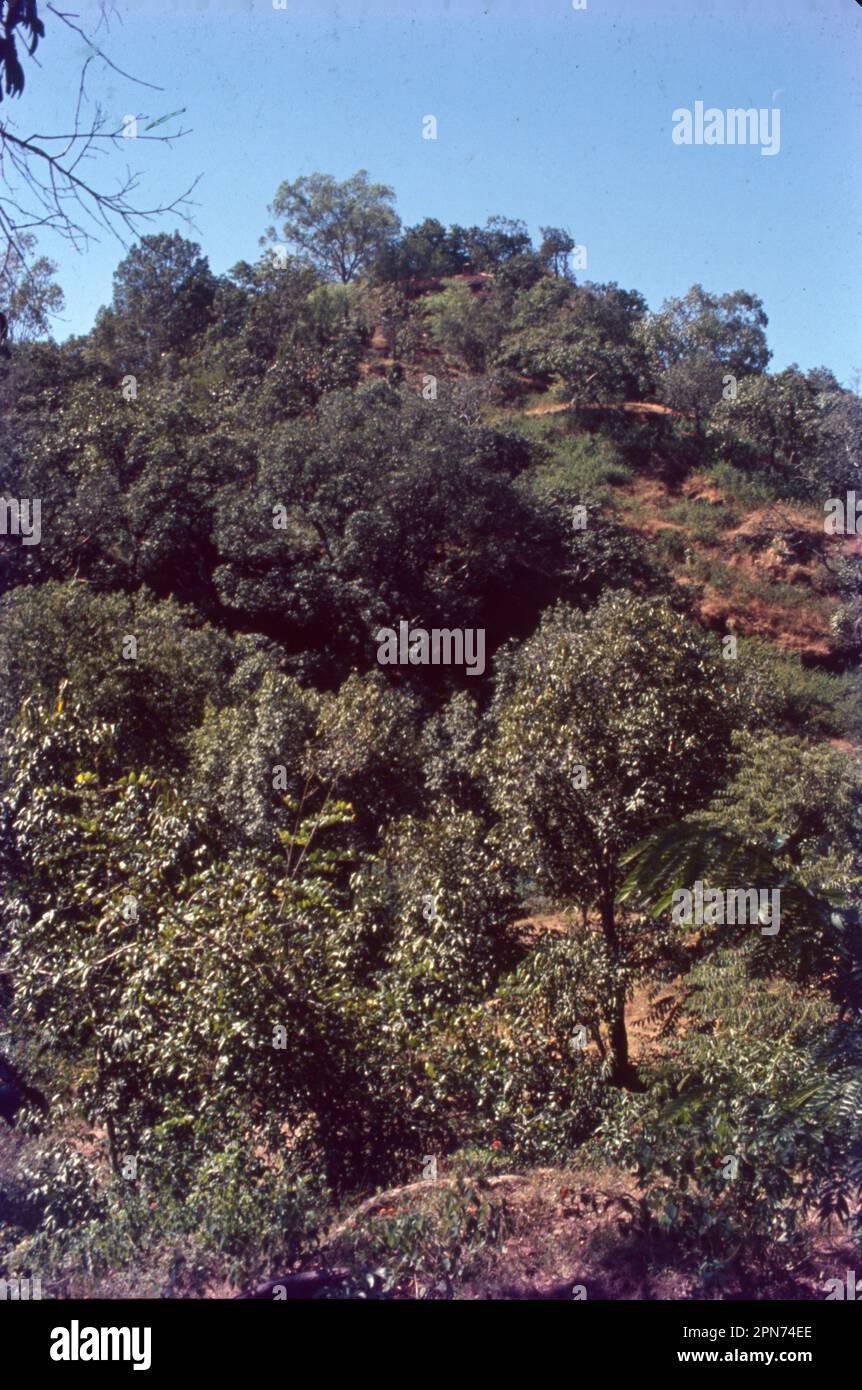 Landscape with Rocks and Greenery, Pachmarhi, Madhya Pradesh, India ...