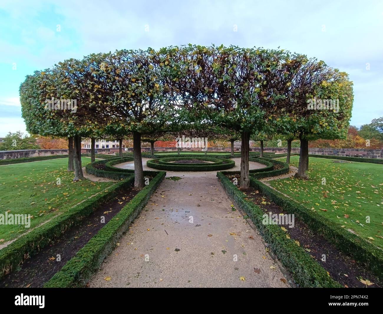 Well maintained and trimmed garden with circular shapes and froms of ...