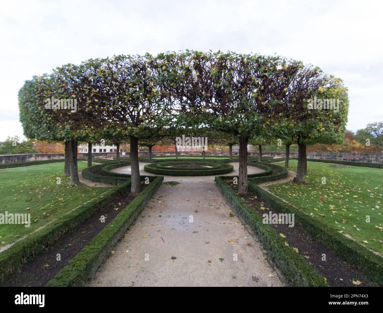 Well maintained and trimmed garden with circular shapes and froms of ...