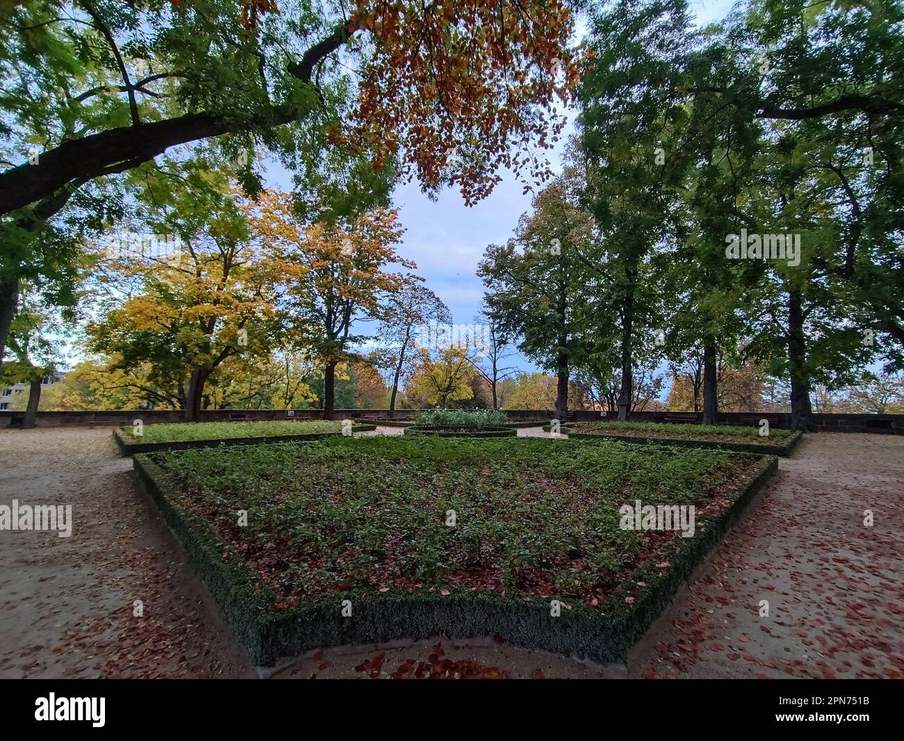 Well maintained and trimmed garden with circular shapes and froms of ...