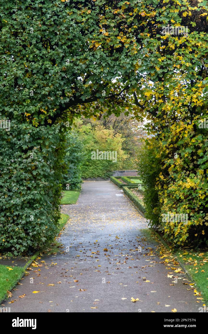 Footpath through natural arch hi-res stock photography and images - Alamy