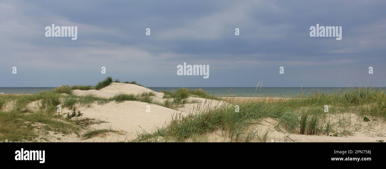 Sand dunes, beach scene near Hirtshals, Denmark Stock Photo - Alamy