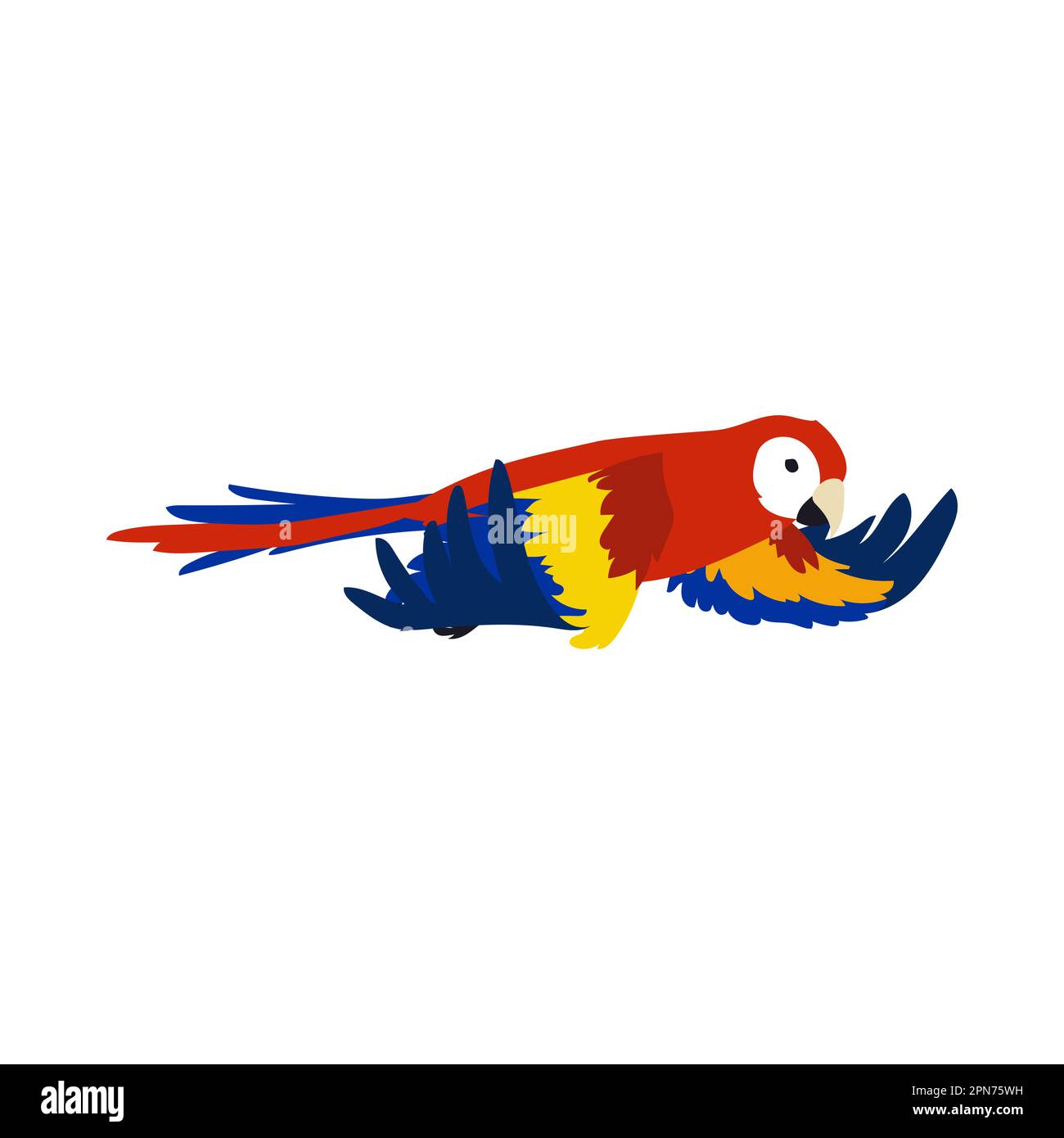 Parrot flapping wings Cut Out Stock Images & Pictures - Alamy