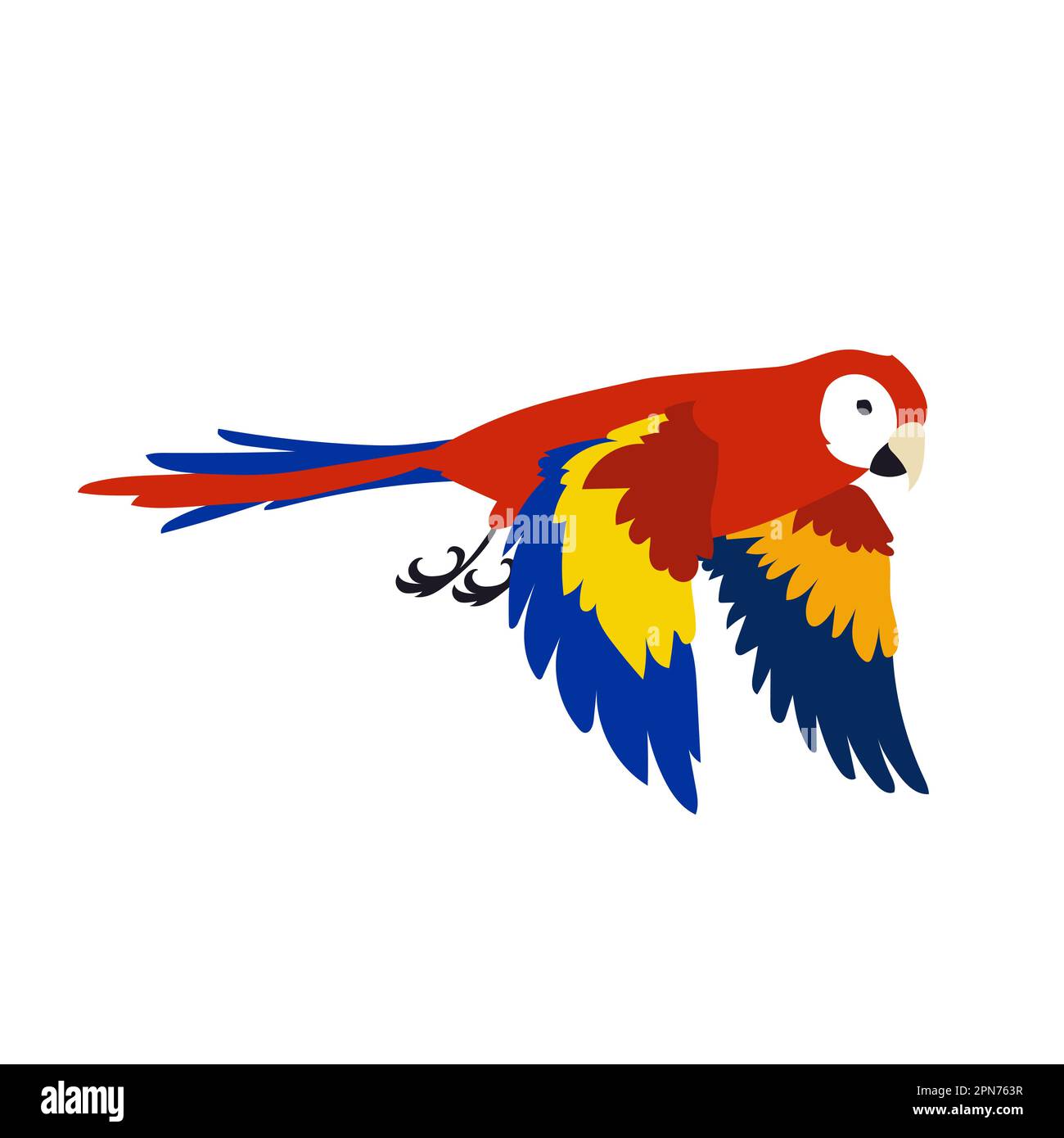Colorful tropical parrot spreading wings vector illustration Stock ...