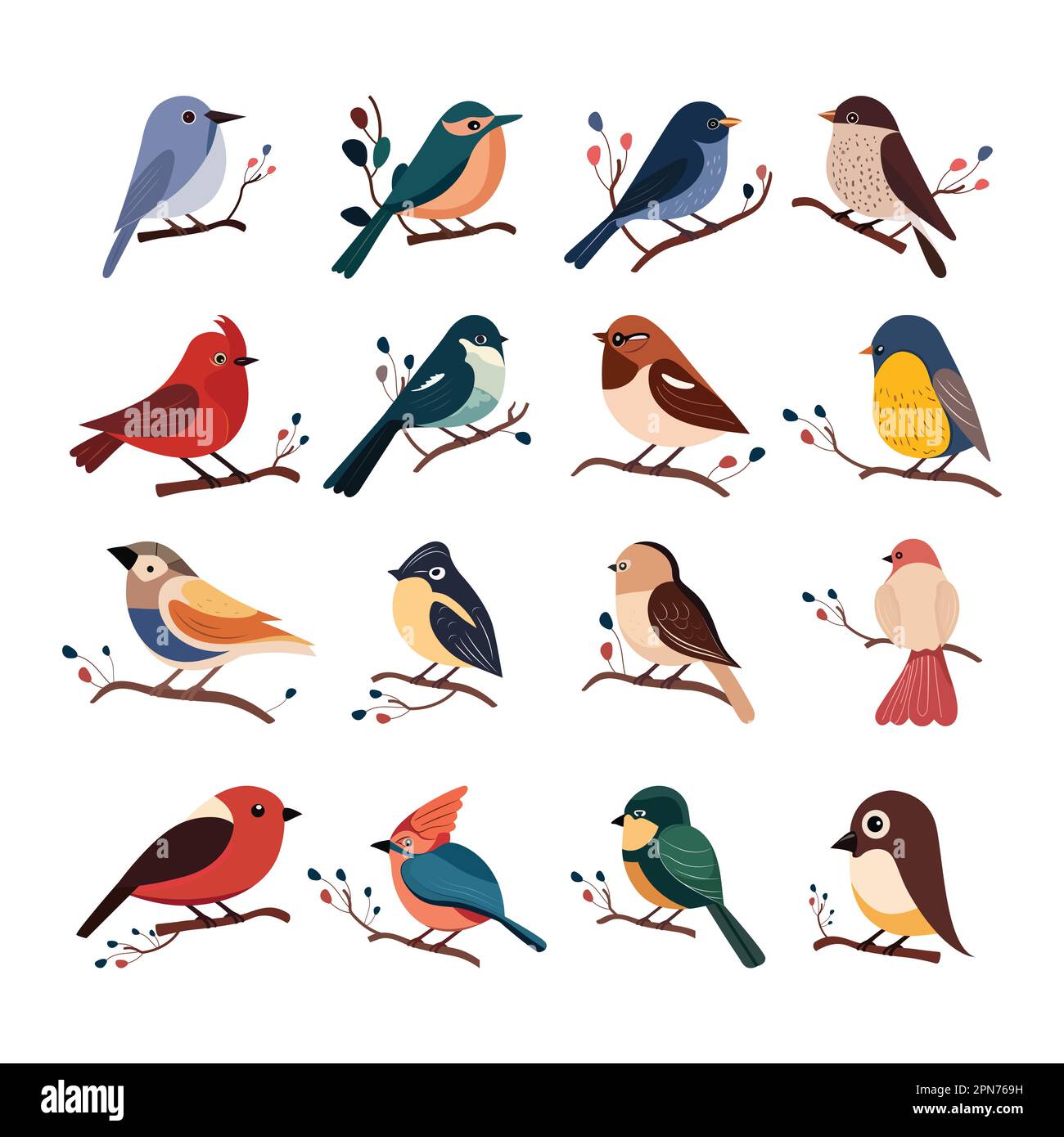 Myiarchus Stock Vector Images Alamy myiarchus-stock-vector-images-alamy