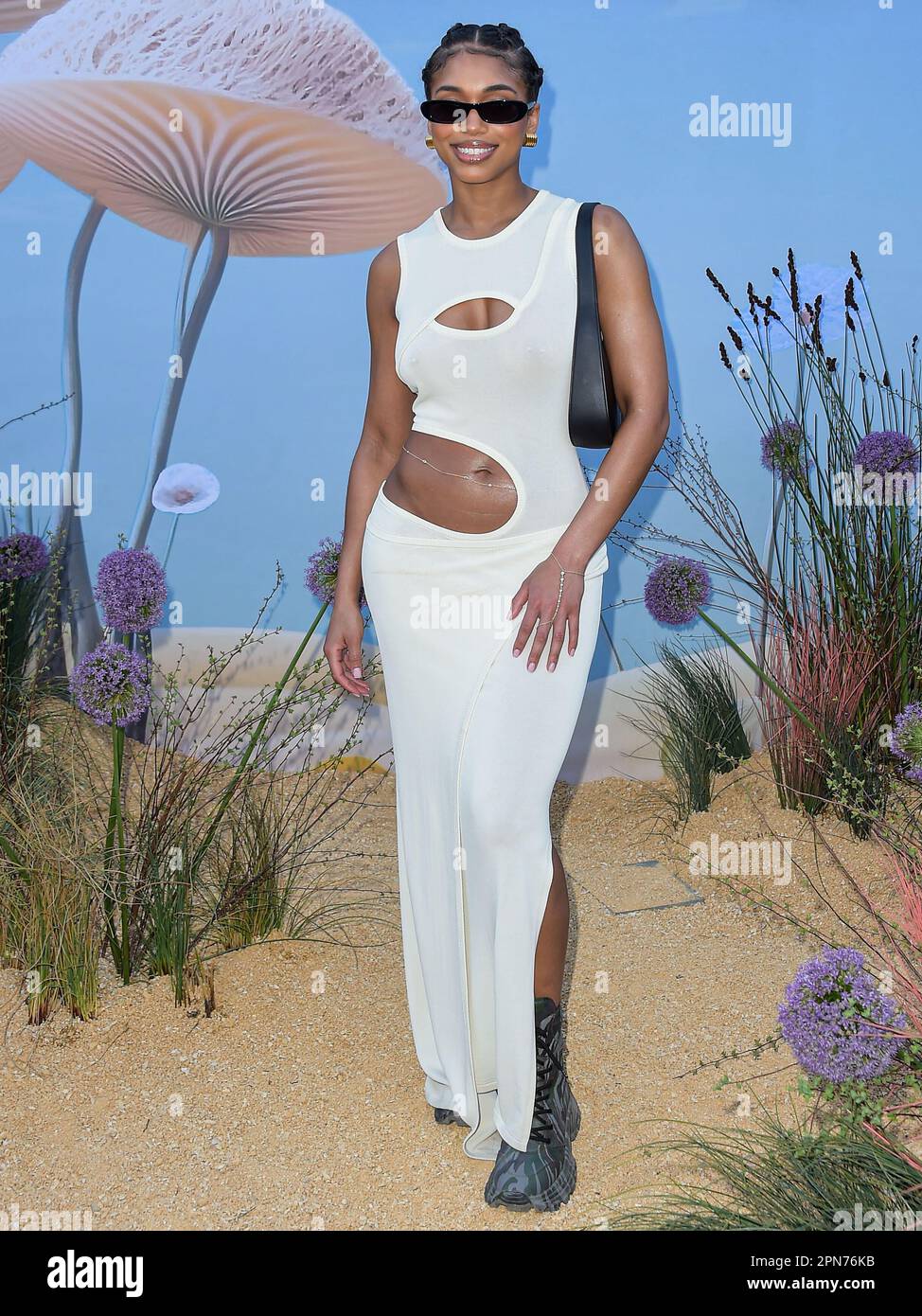 THERMAL, COACHELLA VALLEY, RIVERSIDE COUNTY, CALIFORNIA, USA - APRIL 15 ...