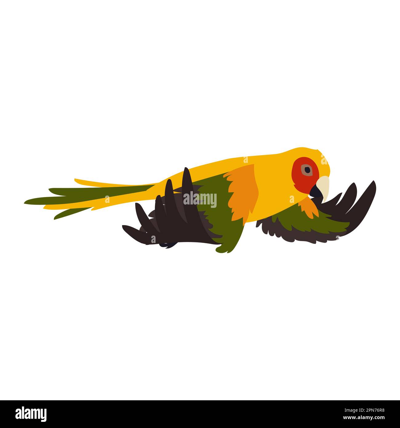 Colorful ara flying with spread wings vector illustration Stock Vector ...