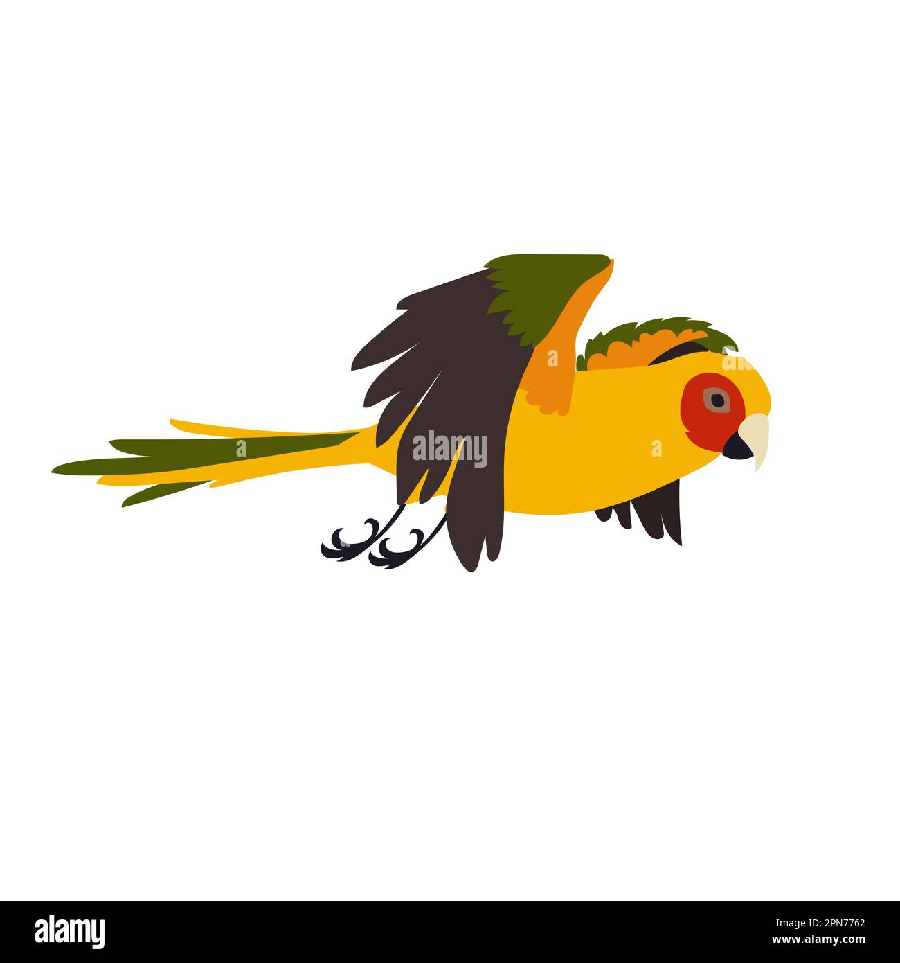 Exotic parrot flying vector illustration Stock Vector Image & Art - Alamy