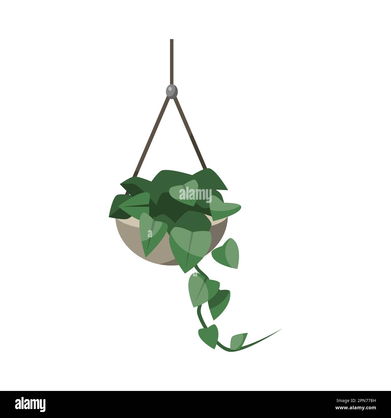 Plant In Hanging Flowerpot Flat Vector Illustration Stock Vector Image
