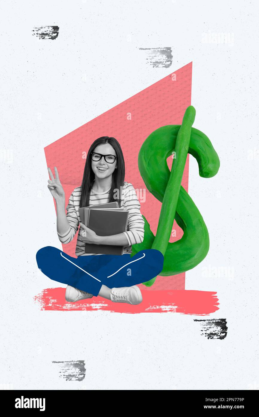 Collage artwork graphics picture of smiling happy lady learning economy ...