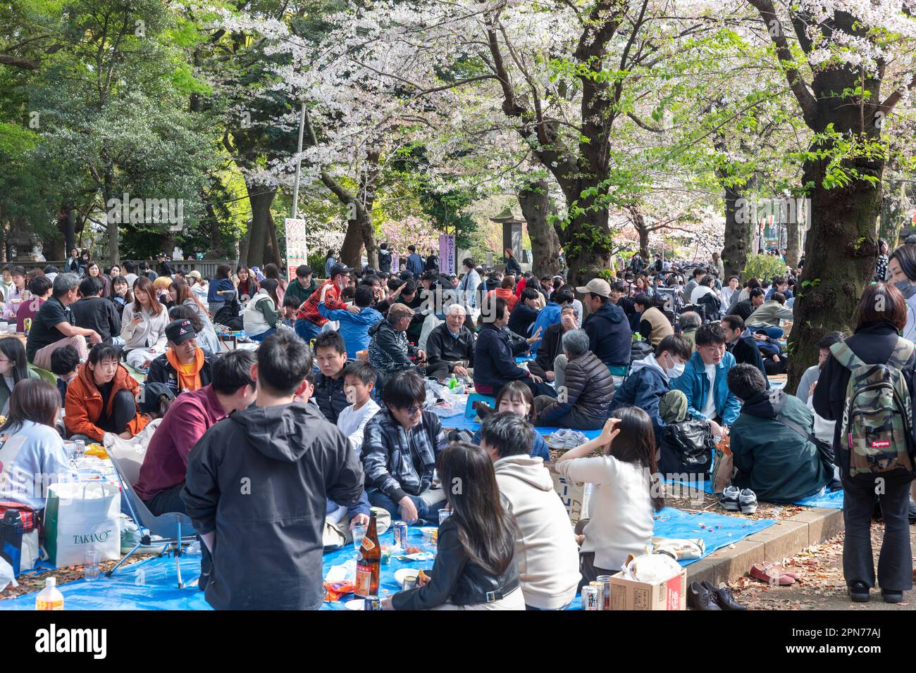 April 2023, Ueno Park in Taito city Tokyo, founded in 1873, Japanese ...