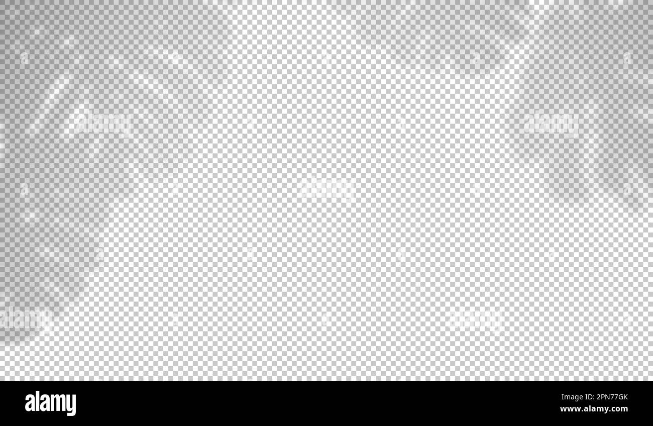 Monstera shadow. Reflecting shades palm plants isolated on transparant ...