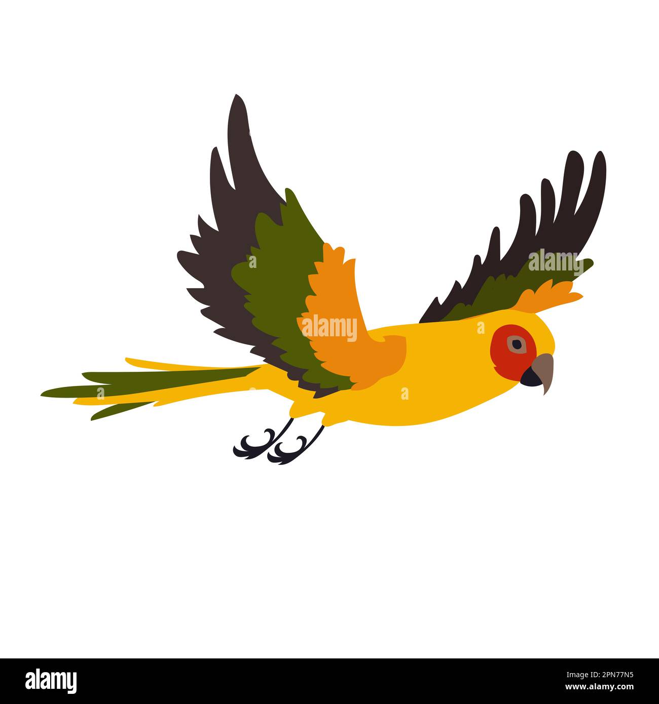 Yellow ara with spread wings vector illustration Stock Vector Image ...