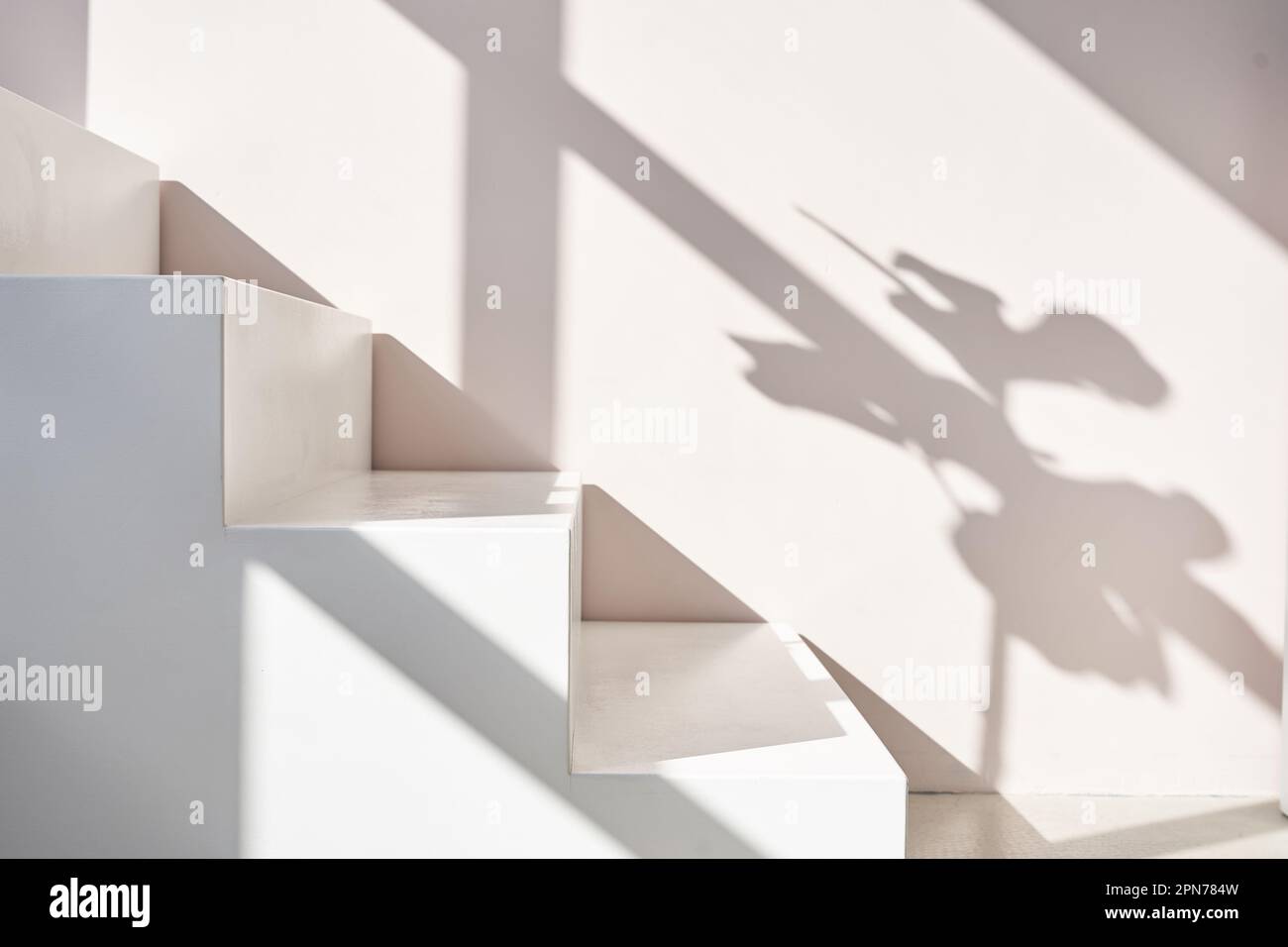 Stairs podium, stairs platform. Podium with stairs . Studio room ...