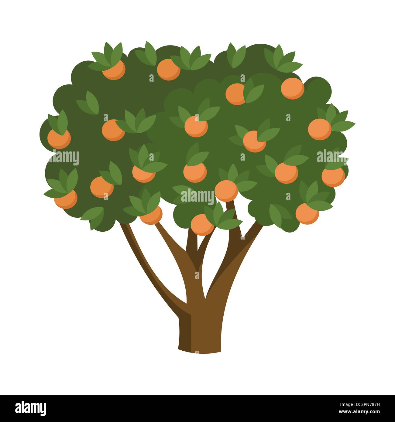 Cartoon Orange Tree