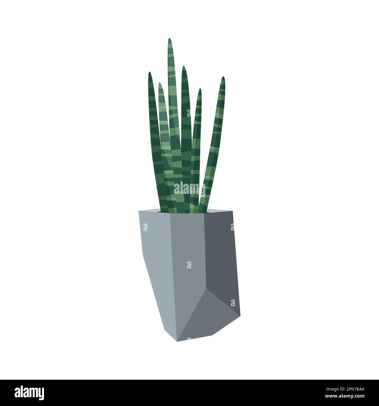 Cylindrical growth Cut Out Stock Images & Pictures - Alamy