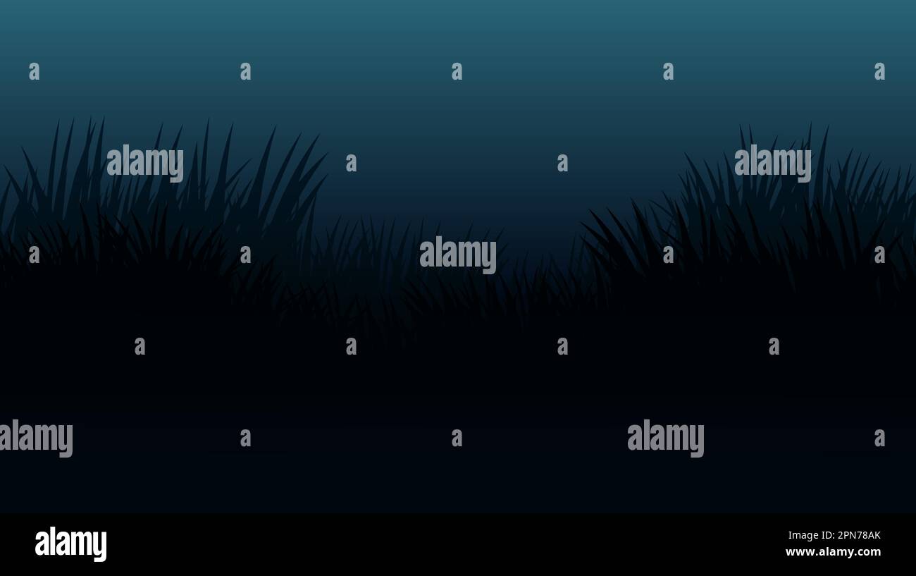 Night Grass. Nature rural landscape. Pasture overgrown. Overgrown dense ...