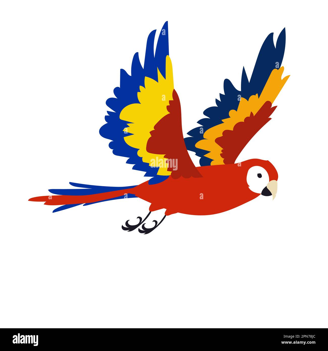 Colorful tropical parrot flying vector illustration Stock Vector Image ...