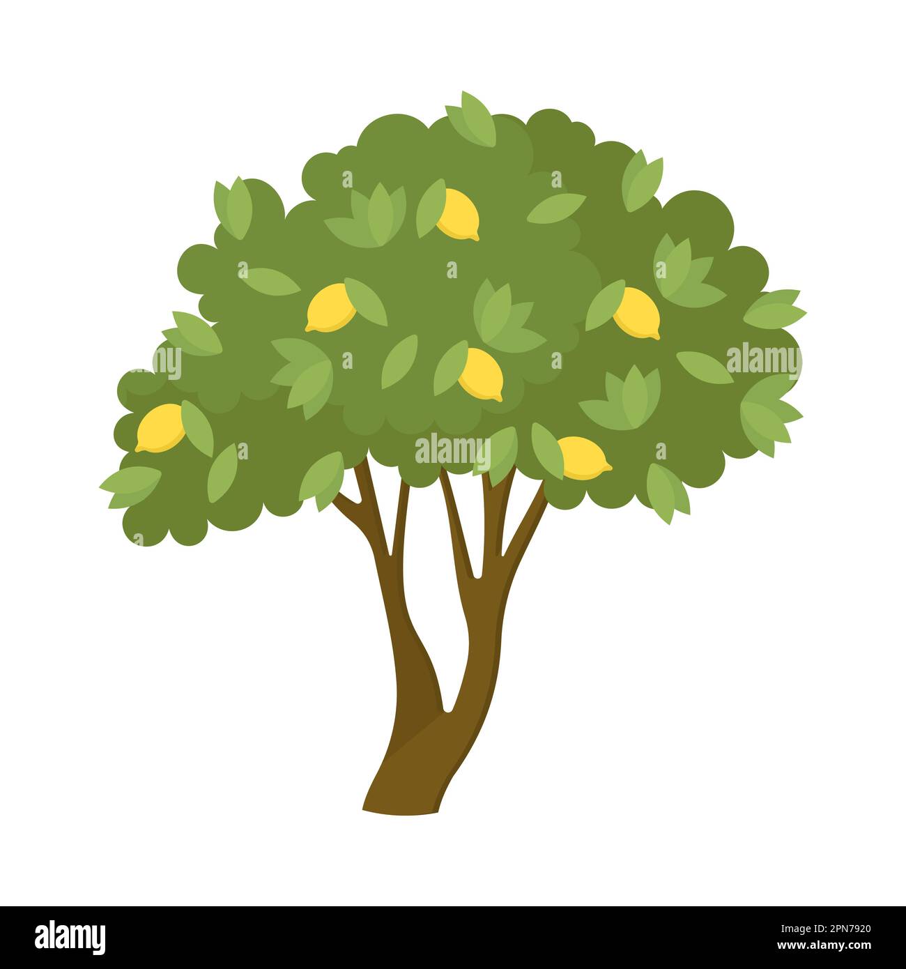 Lemon tree with ripe fruits cartoon illustration Stock Vector Image ...
