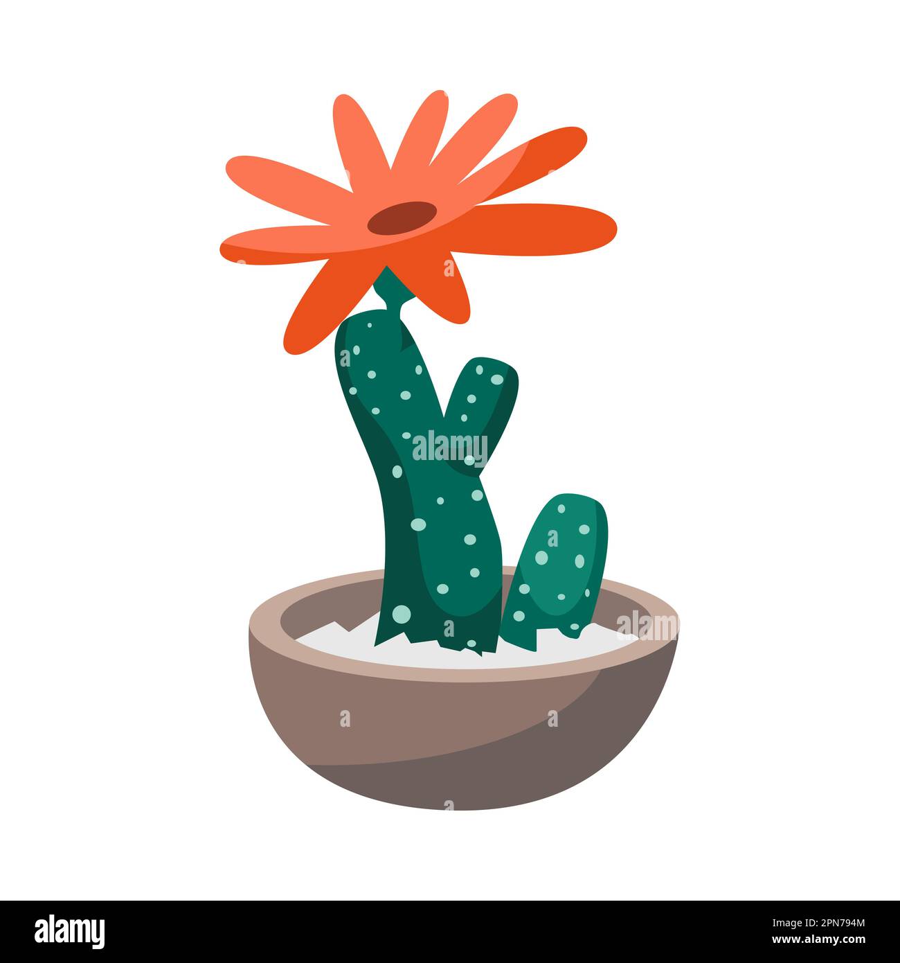 Big flowering cactus Stock Vector Images - Alamy