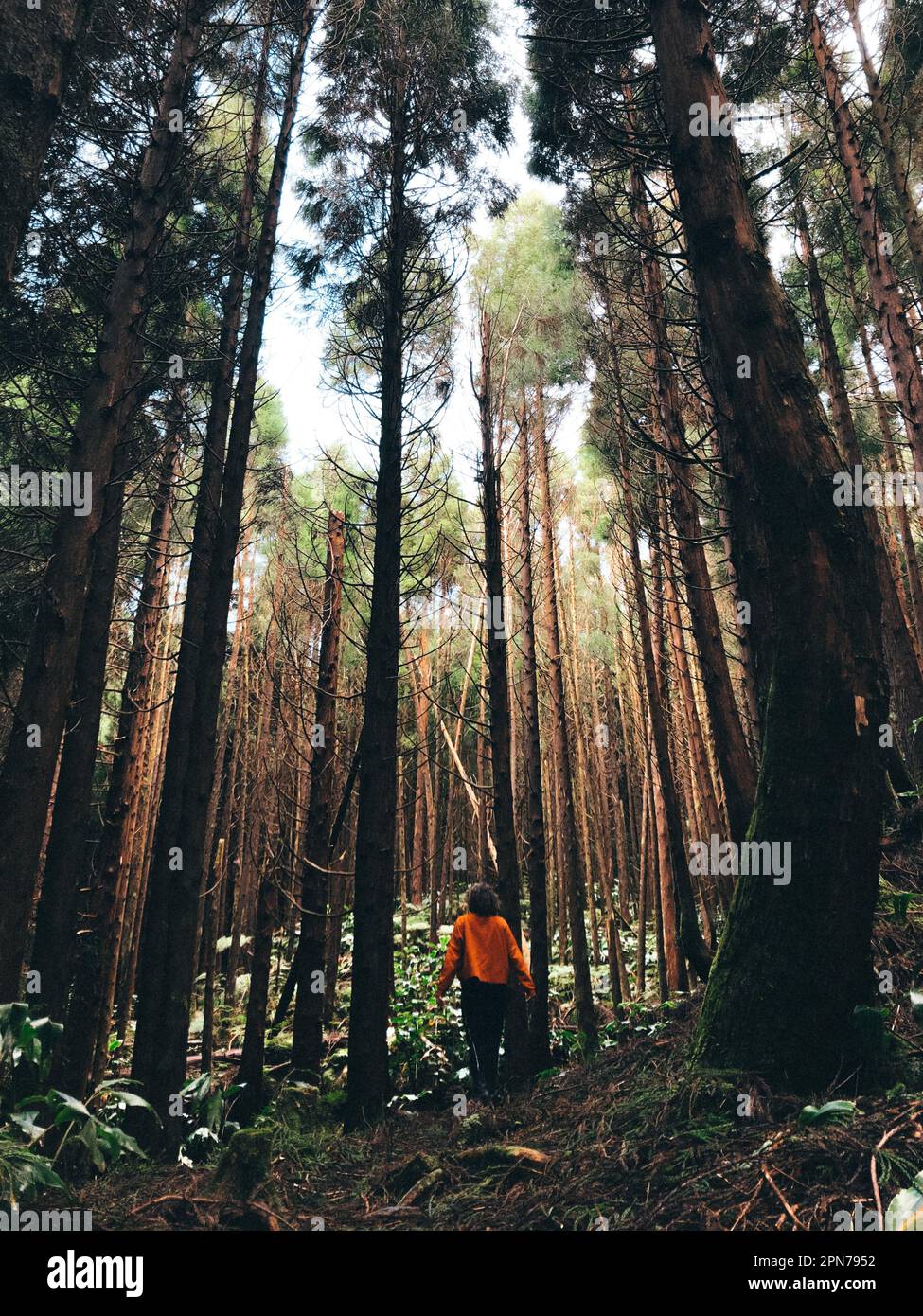Azores during February 2022 Stock Photo - Alamy