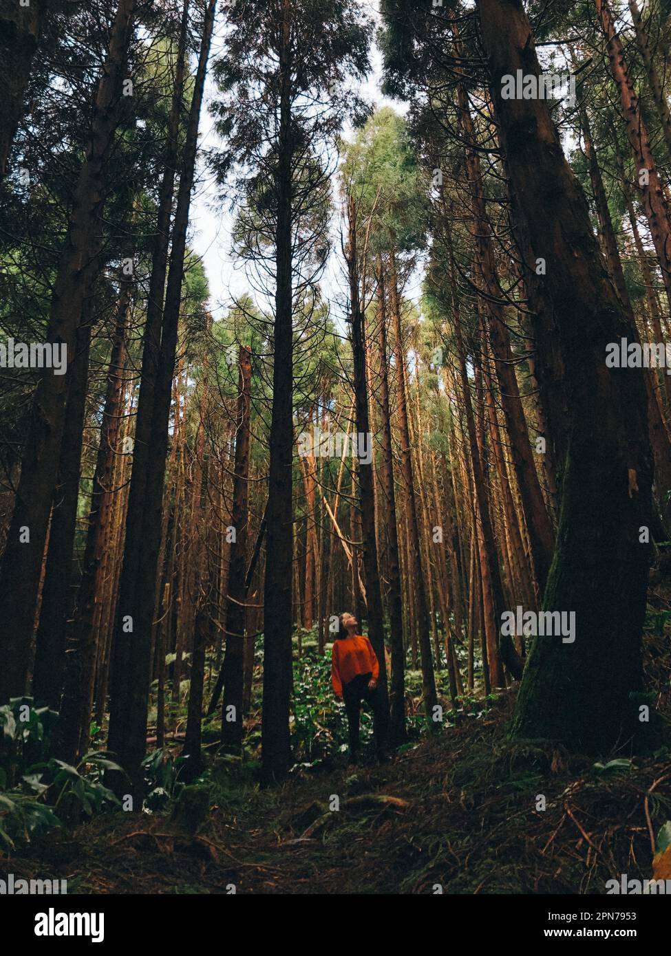 Azores during February 2022 Stock Photo - Alamy