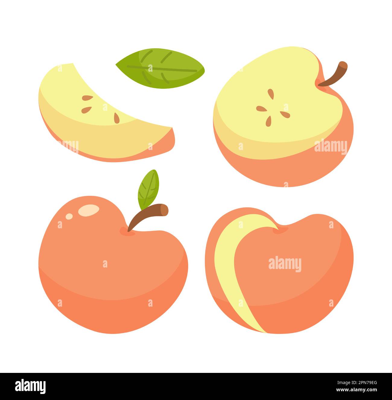 Cut and whole apples vector illustrations set Stock Vector Image & Art ...