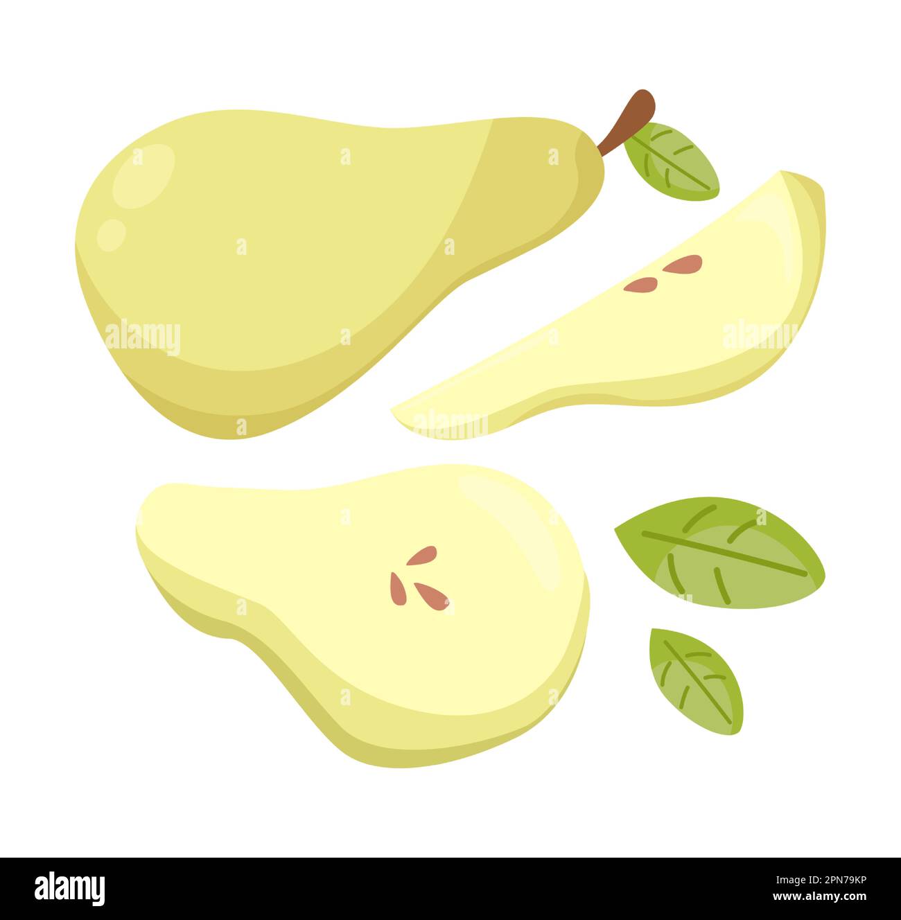 Cut and whole pears vector illustrations set Stock Vector Image & Art ...
