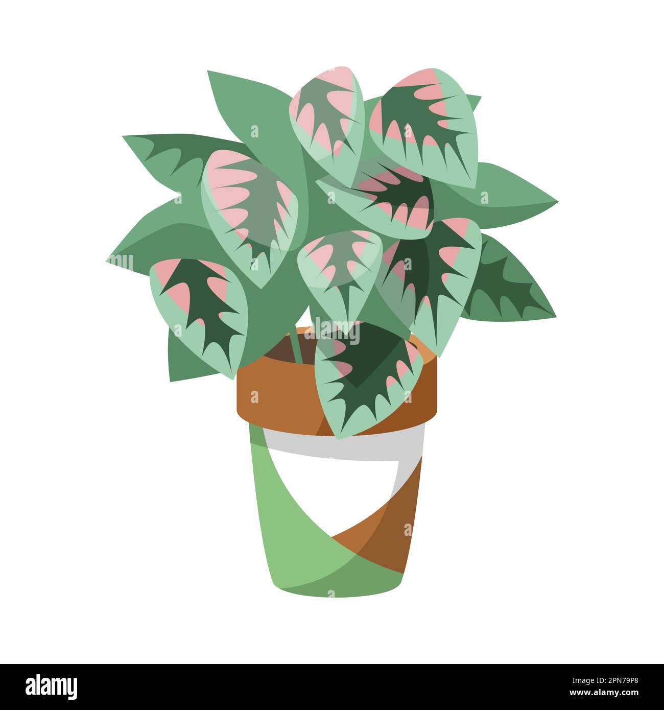 Big begonia Stock Vector Images - Alamy