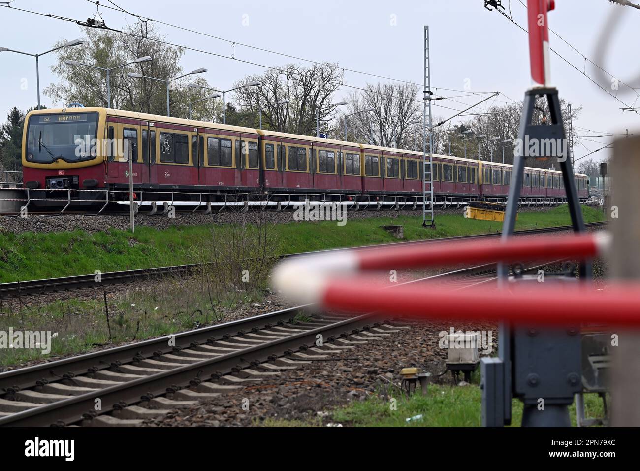 Blankenfelde Mahlow, Germany. 17th Apr, 2023. A suburban train stands ...