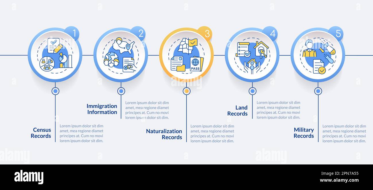 Family research records blue circle infographic template Stock Vector ...