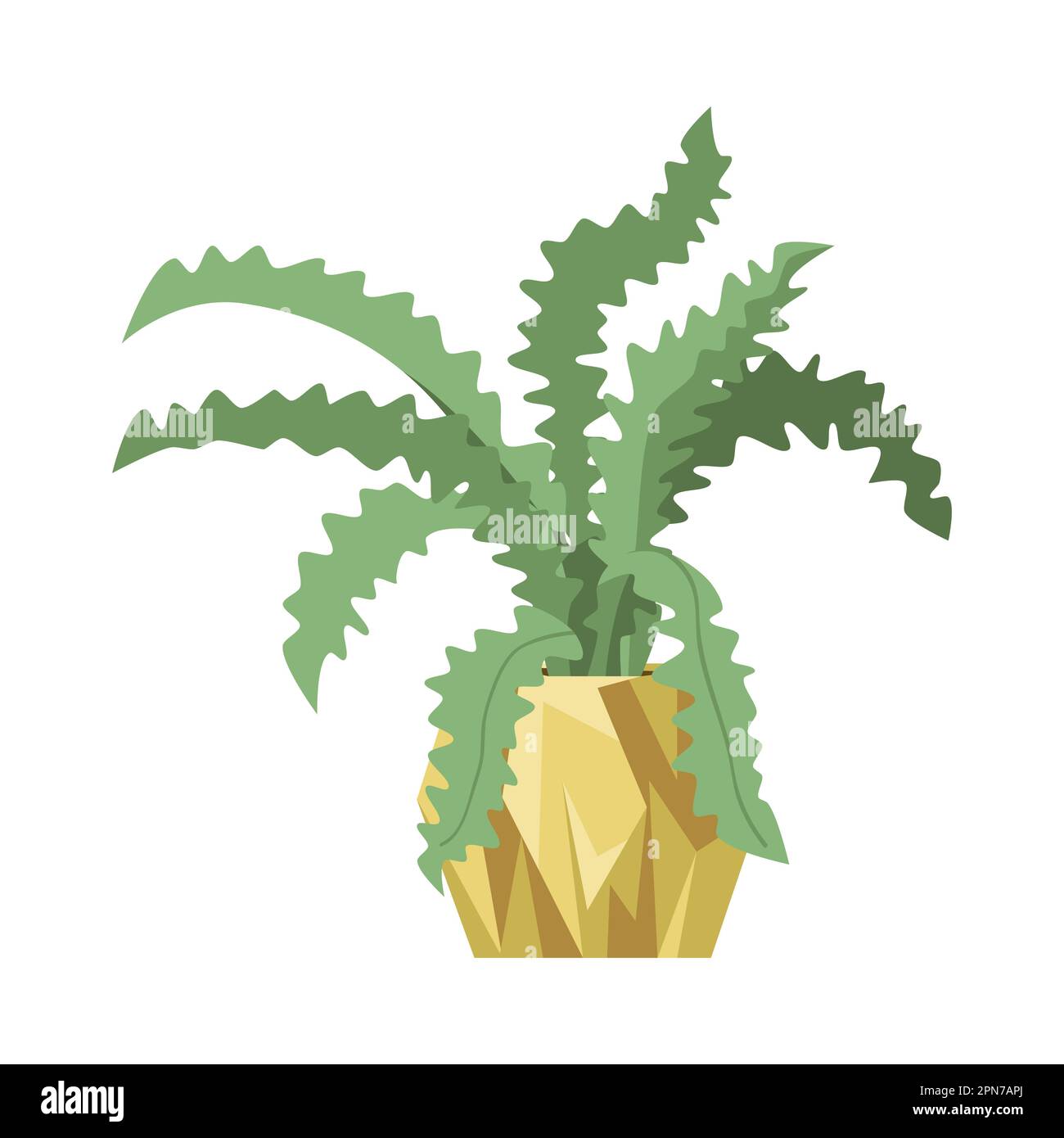 Green fern plant in flowerpot flat vector illustration Stock Vector ...