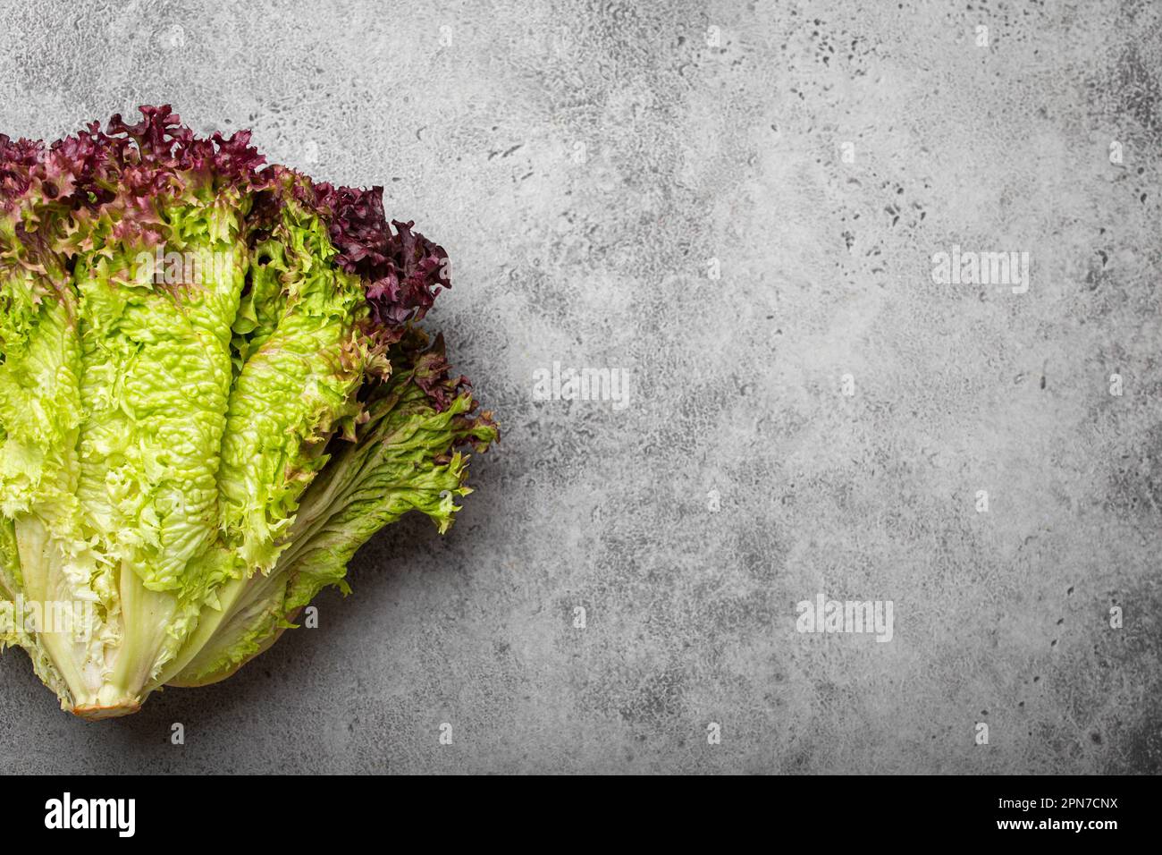 Fresh raw organic farm Lolo Rosso lettuce salad on grey rustic stone ...
