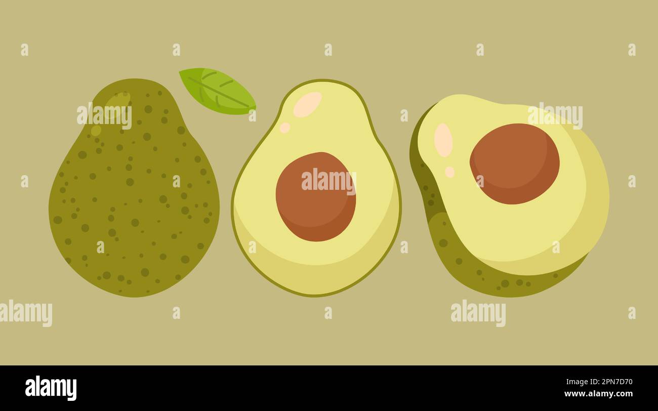 Avocado half cut view Stock Vector Images - Alamy
