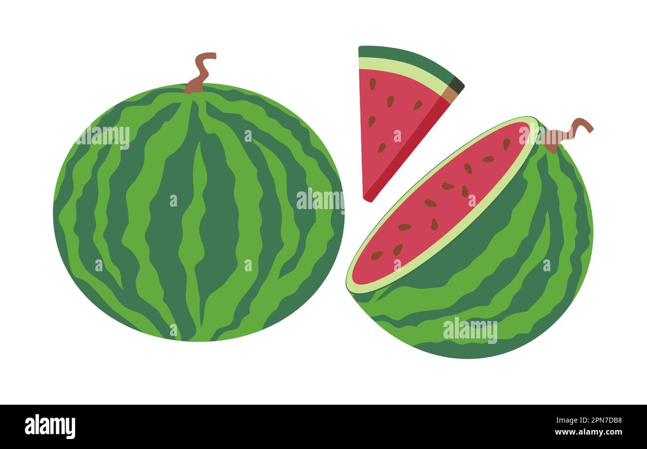 Whole and cut watermelon vector illustrations set Stock Vector Image ...