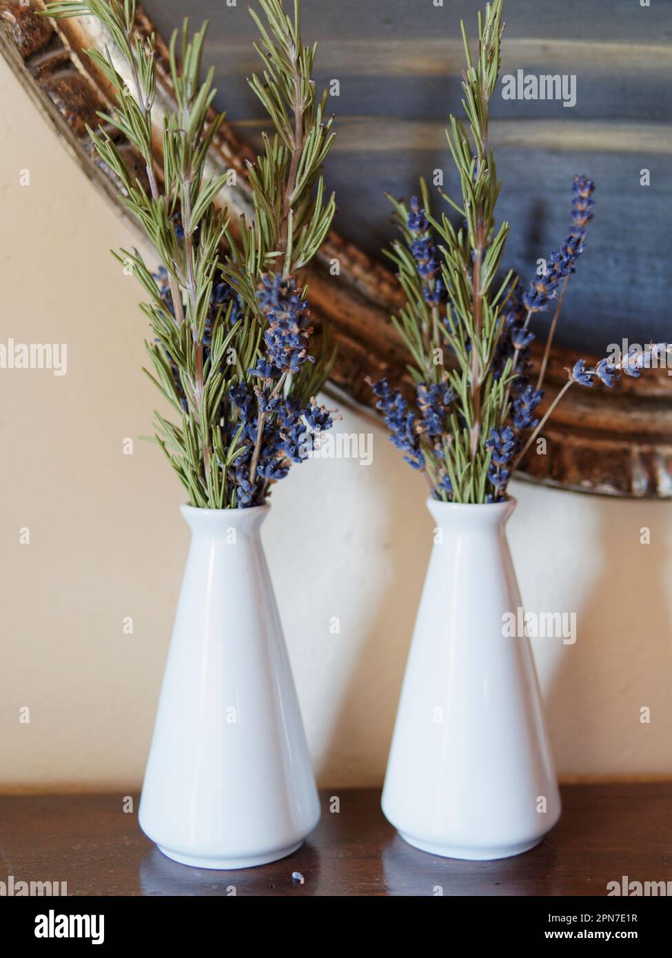 Blue and white wild flowers hi-res stock photography and images - Alamy