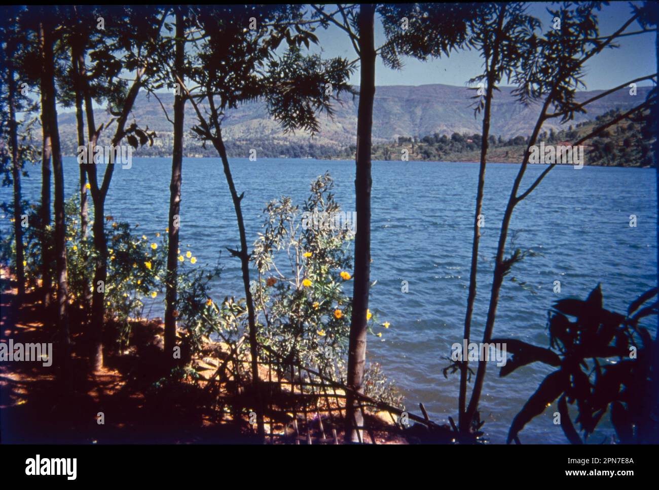 The Vaigai is a river in the Tamil Nadu state of southern India; it ...