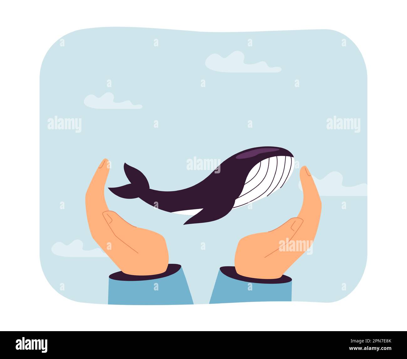 Human hands holding tiny whale Stock Vector Image & Art - Alamy