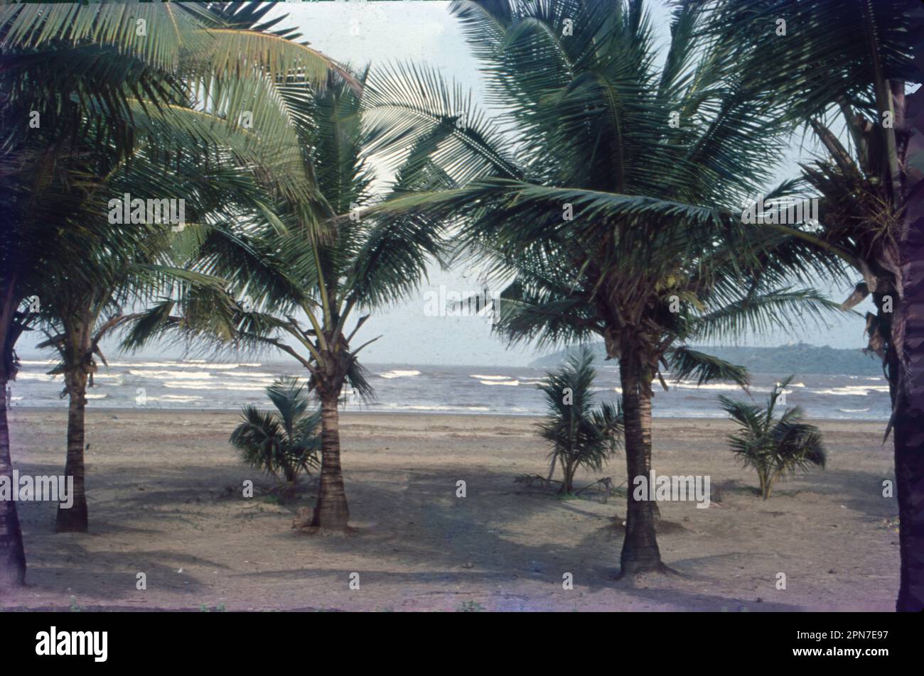 The village is famous for its three immaculate beaches with sea green ...