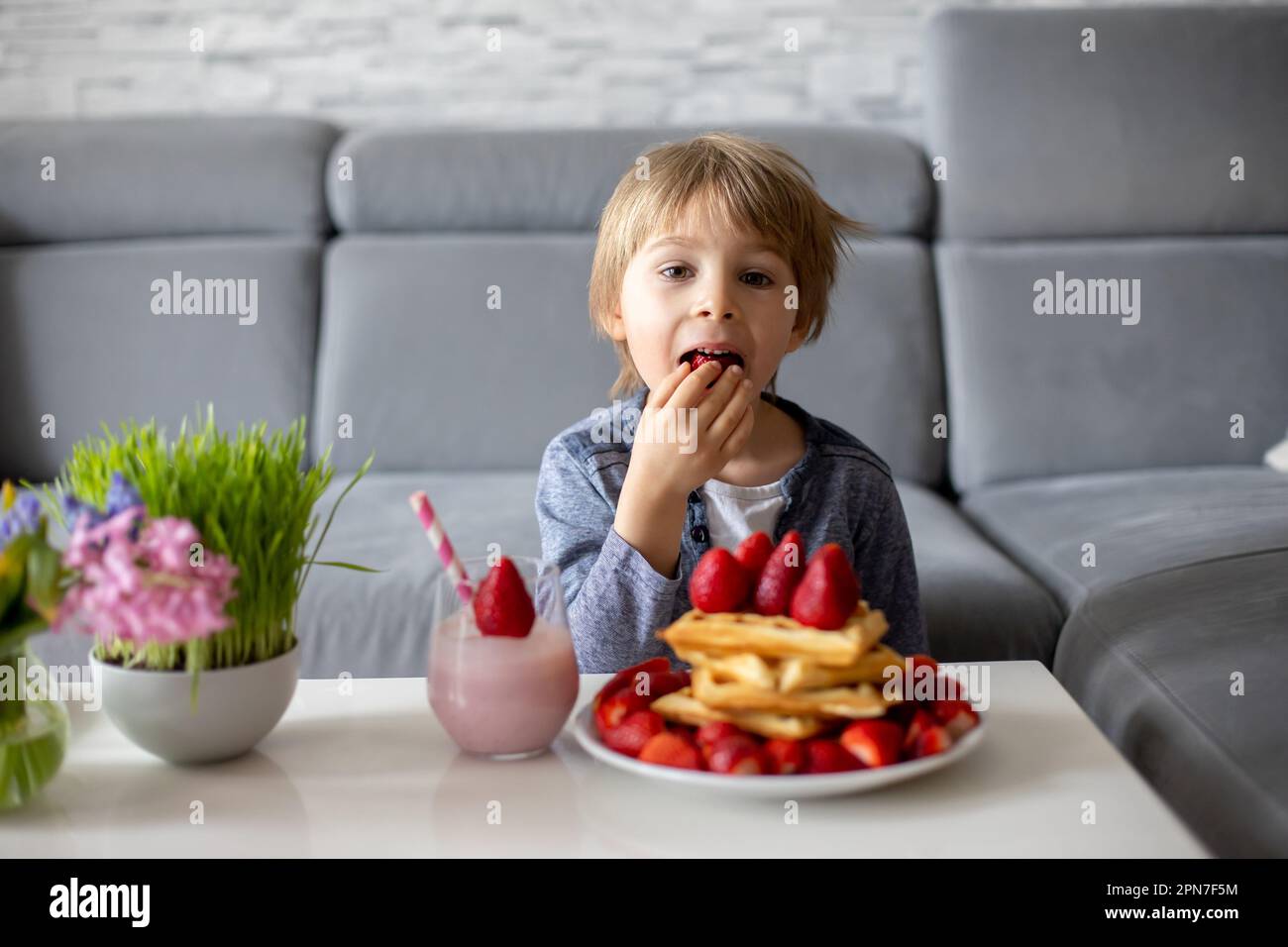 Sweet preschool child, boy, eating belgian waffle with strawberries and ...