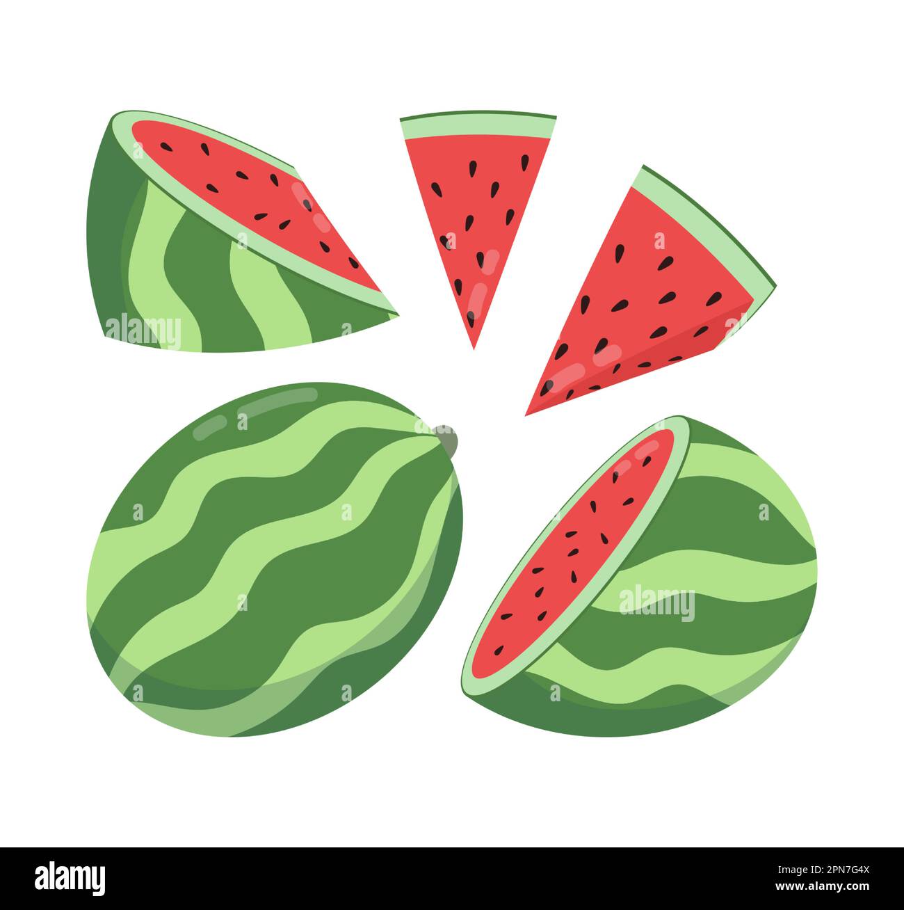 Whole and cut watermelon vector illustration Stock Vector Image & Art ...