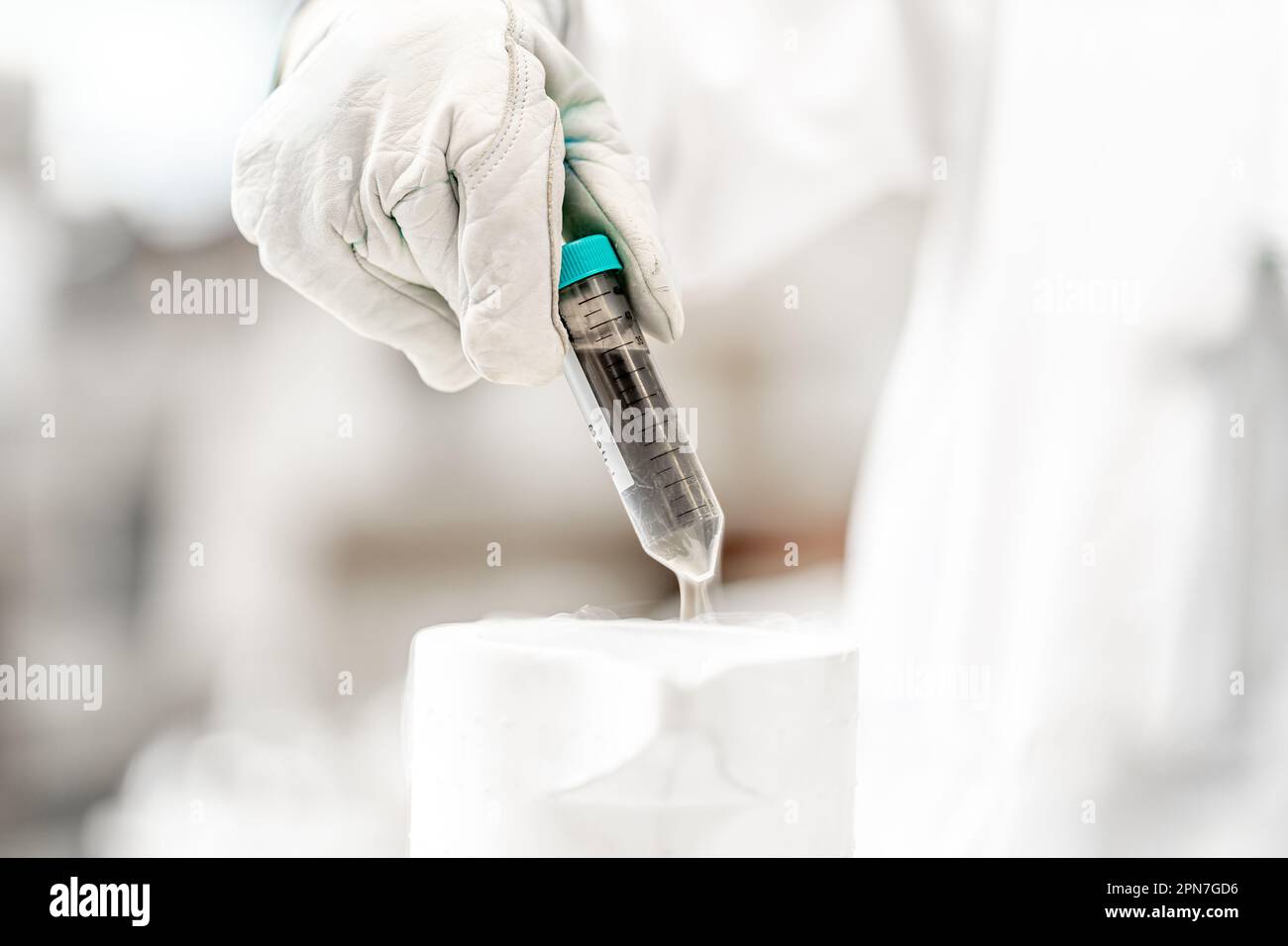 research with liquid nitrogen in a scientific laboratory. chemical ...