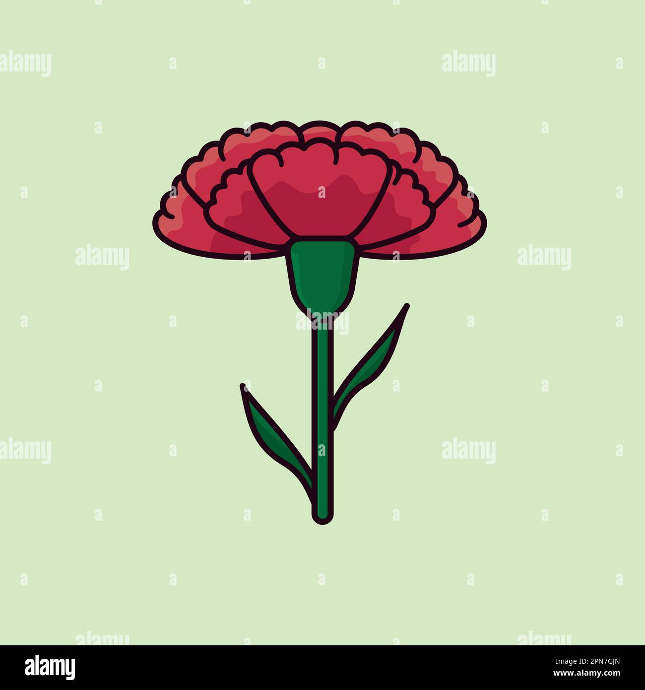 Red carnation flower vector illustration for Carnation day on January ...