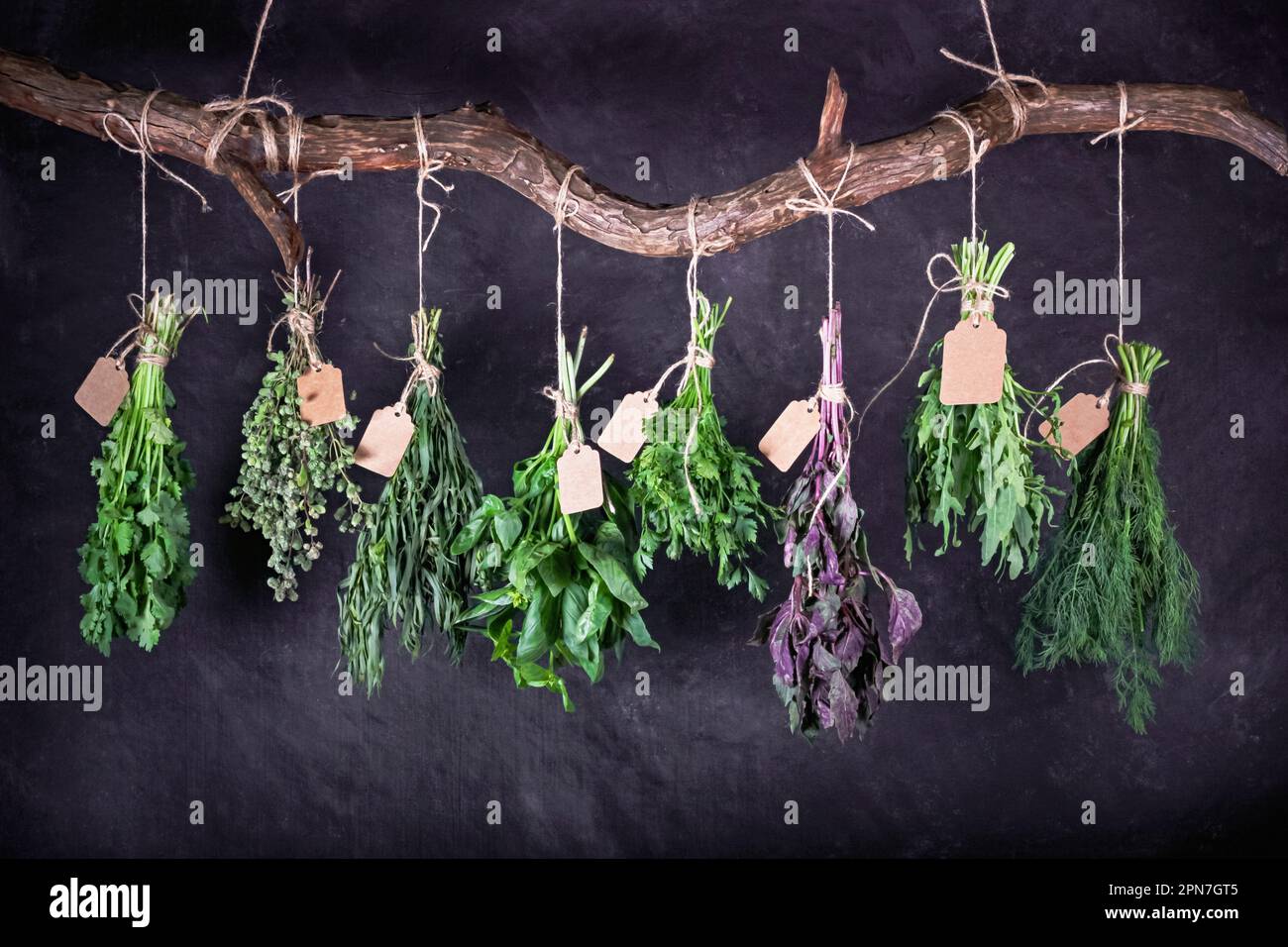 Hanging bunches of edible herbs with blank tags on a curved wooden ...