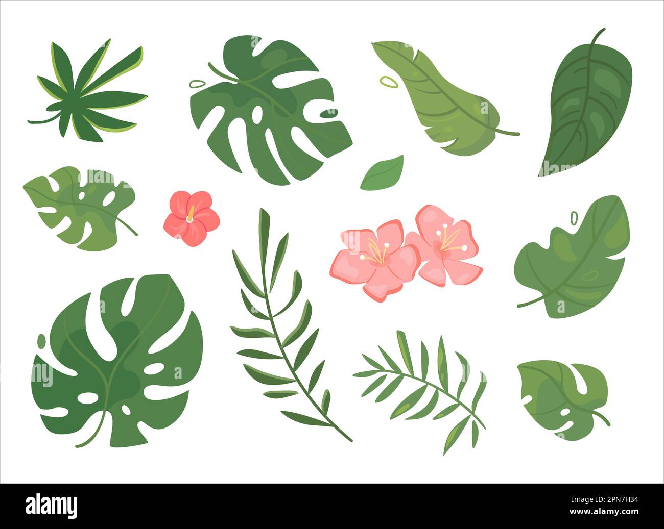 Set Of Vector Tropical Leaves Green Foliage Of Exotic Palms And Trees
