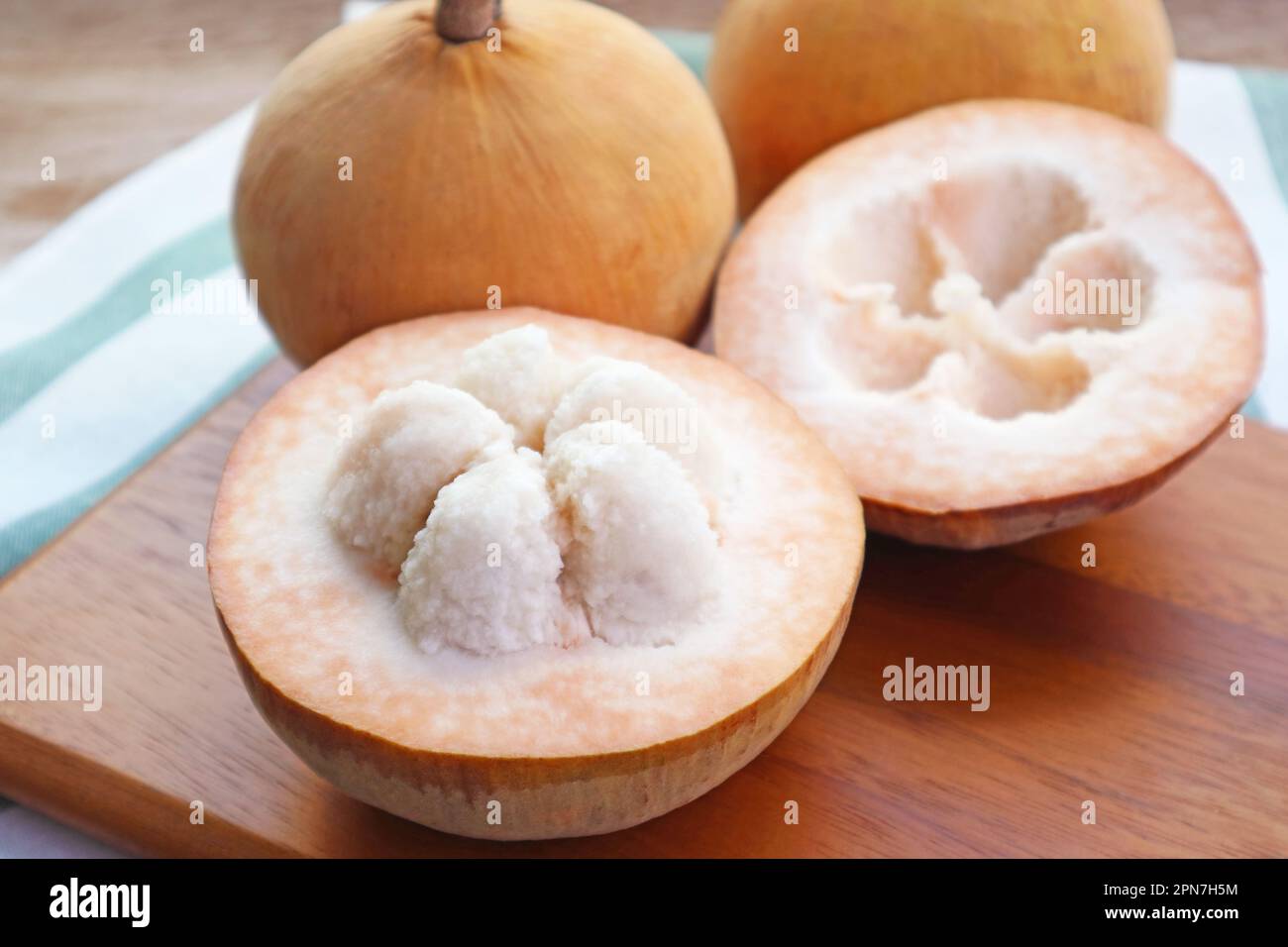 Santol Seeds