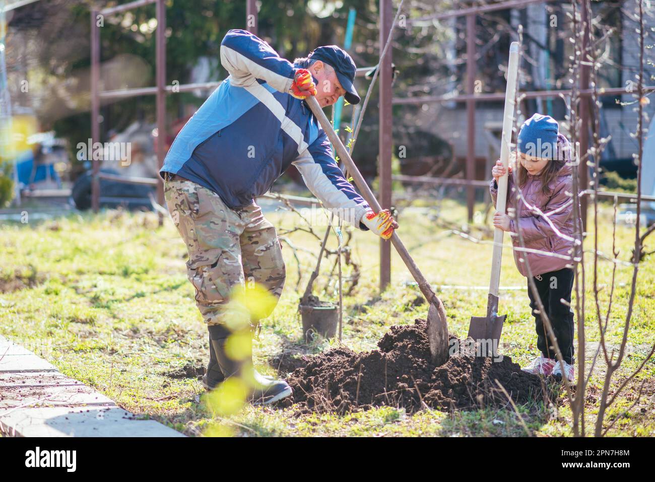 Happy father and daughter planting a new tree in the village Stock ...